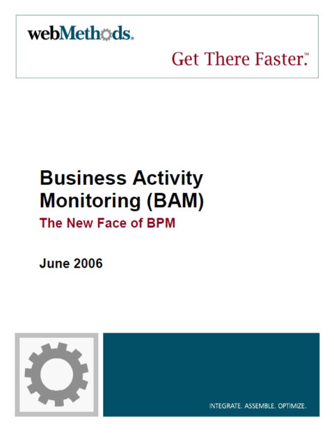 Business Activity Monitoring (BAM): The New Face of BPM | BPMInstitute.org