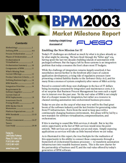 Delphi Group 2003 BPM Market Milestone Report | BPMInstitute.org